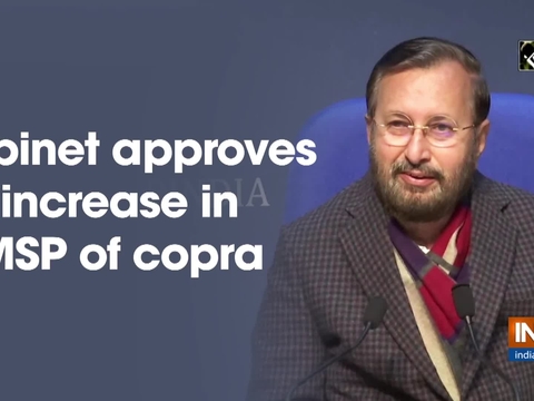 Cabinet approves increase in MSP of copra