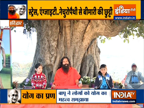 Follow indigenous treatment for cold-fever, know other remedies from ...